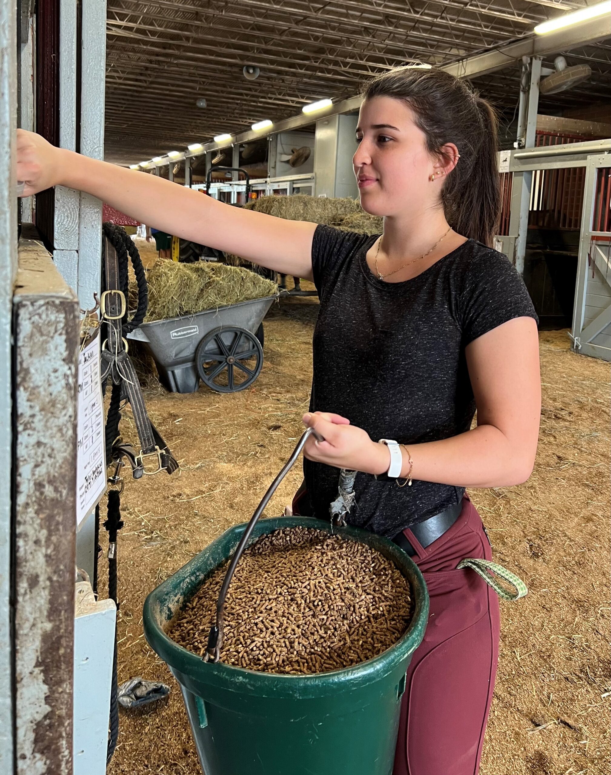 Summertime in the William Woods horse stables: a unique experience for ...