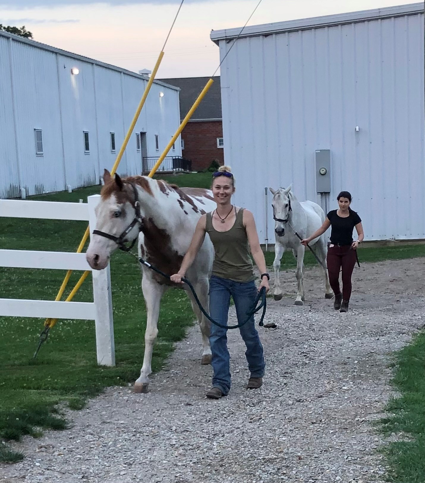 Summertime in the William Woods horse stables: a unique experience for ...